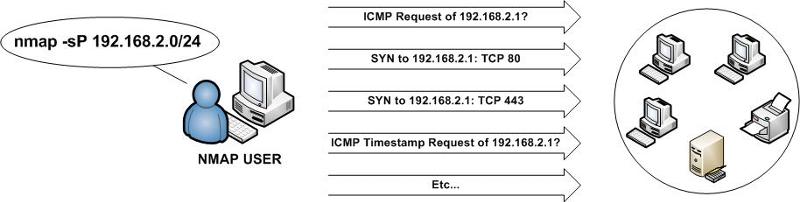 Nmap: Host Discovery Basics | Experts Exchange