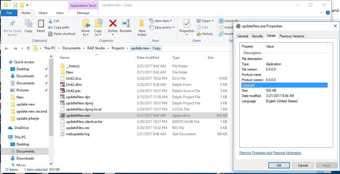 Delphi Application Software Baldcirclelake