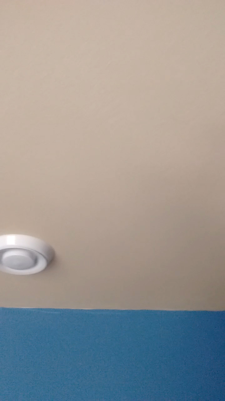 Solved: Unexplained chirping noise every 34 seconds in our house ...