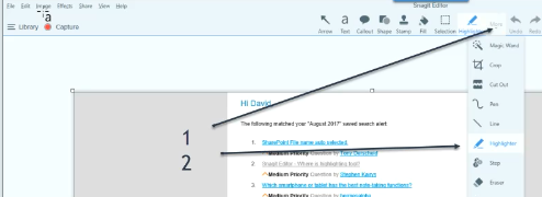 Snagit Editor - Where is highlighting tool? Solutions | Experts Exchange