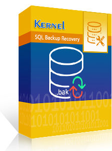 Kernel Data Recovery