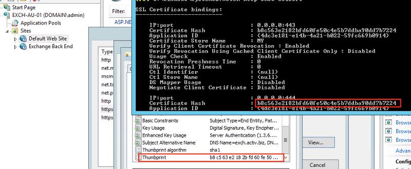 Solved: Exchange 2013 ECP/OWA gone | Experts Exchange