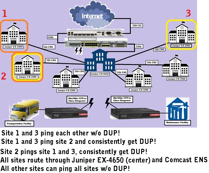 I need assistance finding the cause of duplicate (DUP!) ping replies ...