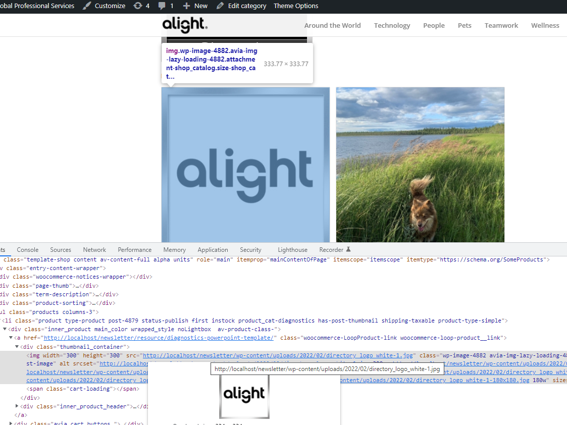Solved: Why does this image not render at 300 px? | Experts Exchange