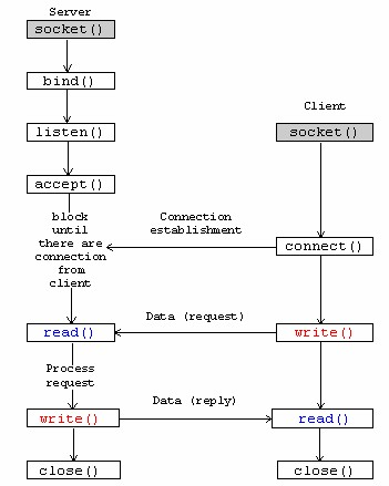 Solved: UDP SocketException (code 10052) - The connection has been ...