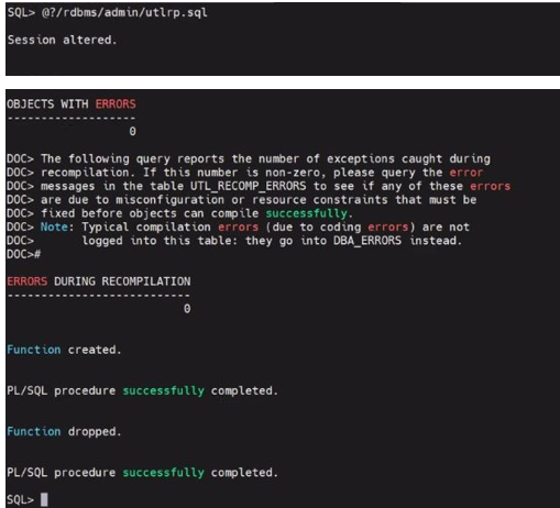 Solved Oracle 19c With Failsafe Cluster Standalone Oracle 19c Patching Procedure Experts 1095