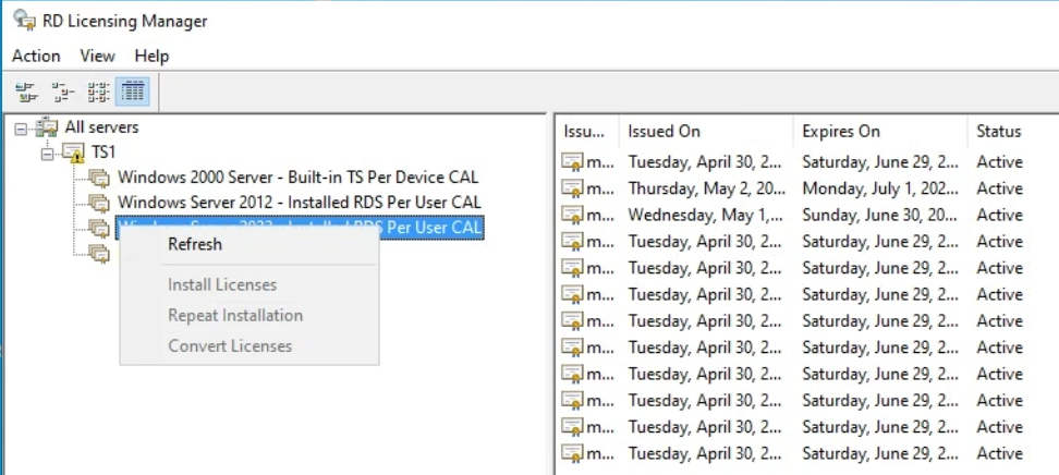 Solved: Can't add RDS User CAL | Experts Exchange