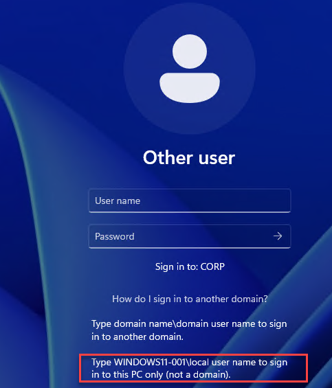 Solved: How to login to Windows 11 Pro using inaccessible local account ...
