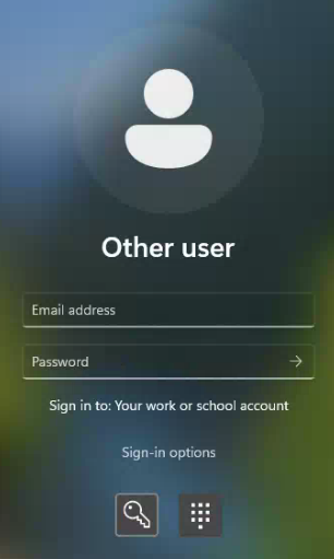 Solved: How to login to Windows 11 Pro using inaccessible local account ...